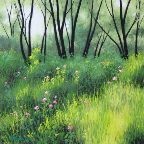 Nancy Wylie